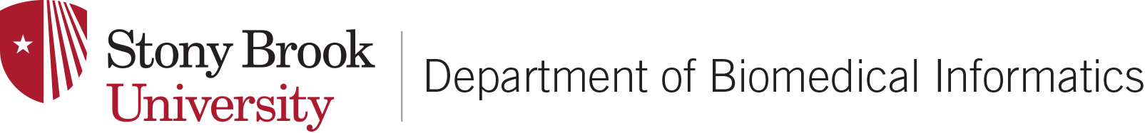 Computer Science and Informatics Summer Research Experience Program | Stony Brook Dept of ...